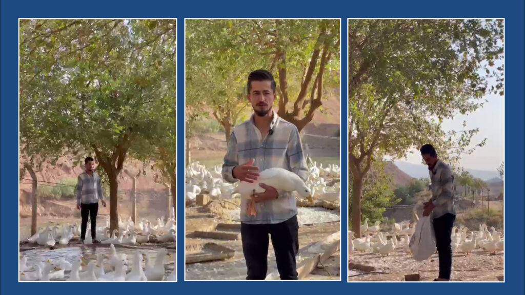 From class to coop: Taq Taq man builds thriving duck farm after leaving ...